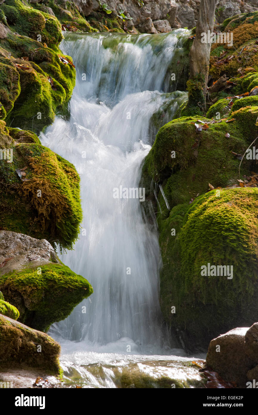 Waterfall in the forest at Plitvicka Jezera - Plitvice Stock Photo - Alamy