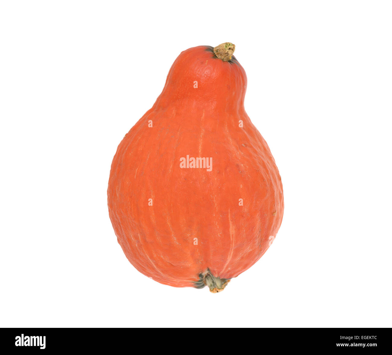 Large isolated plant earth hi-res stock photography and images - Alamy