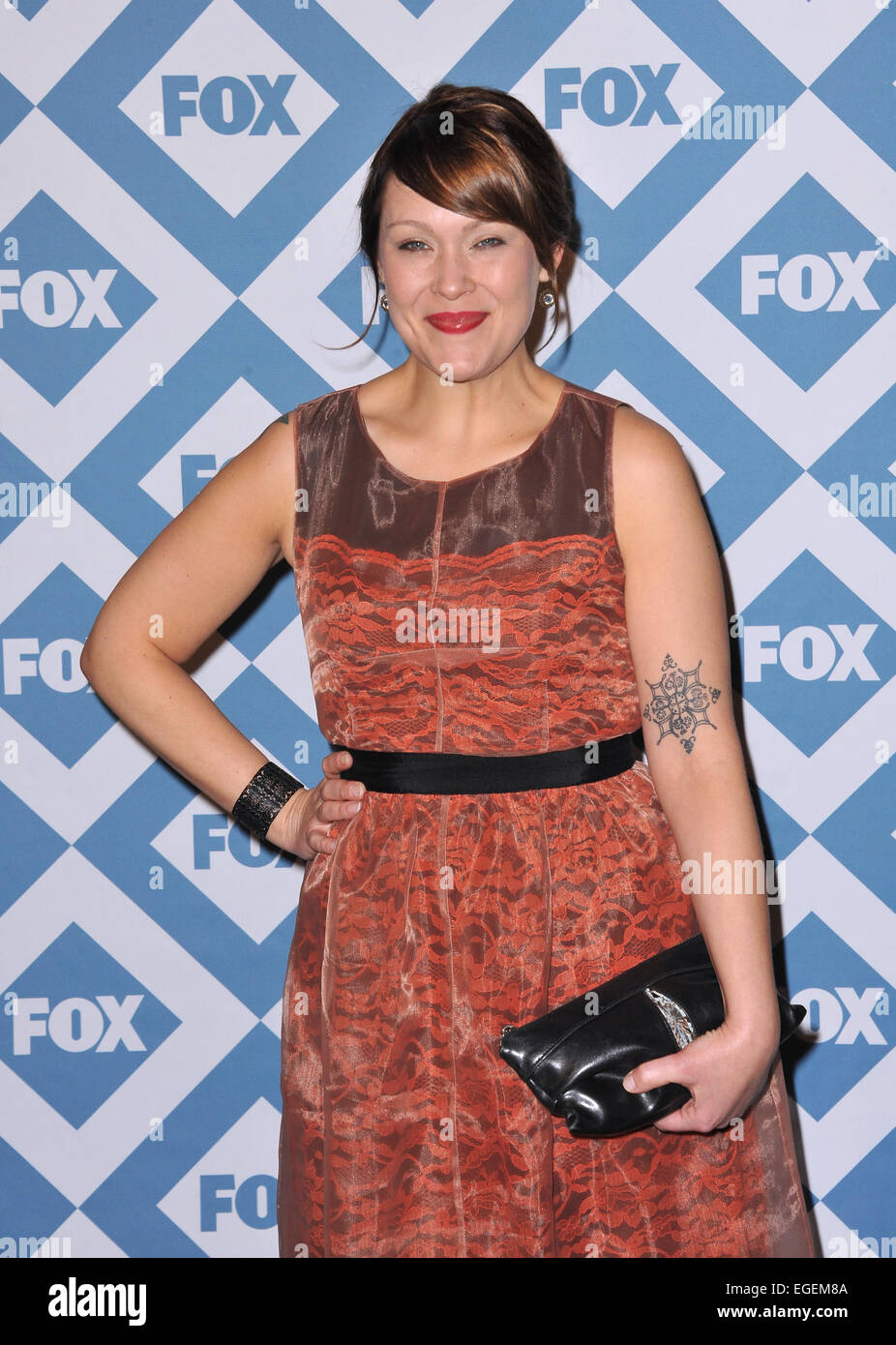 Amber fox hi-res stock photography and images - Alamy