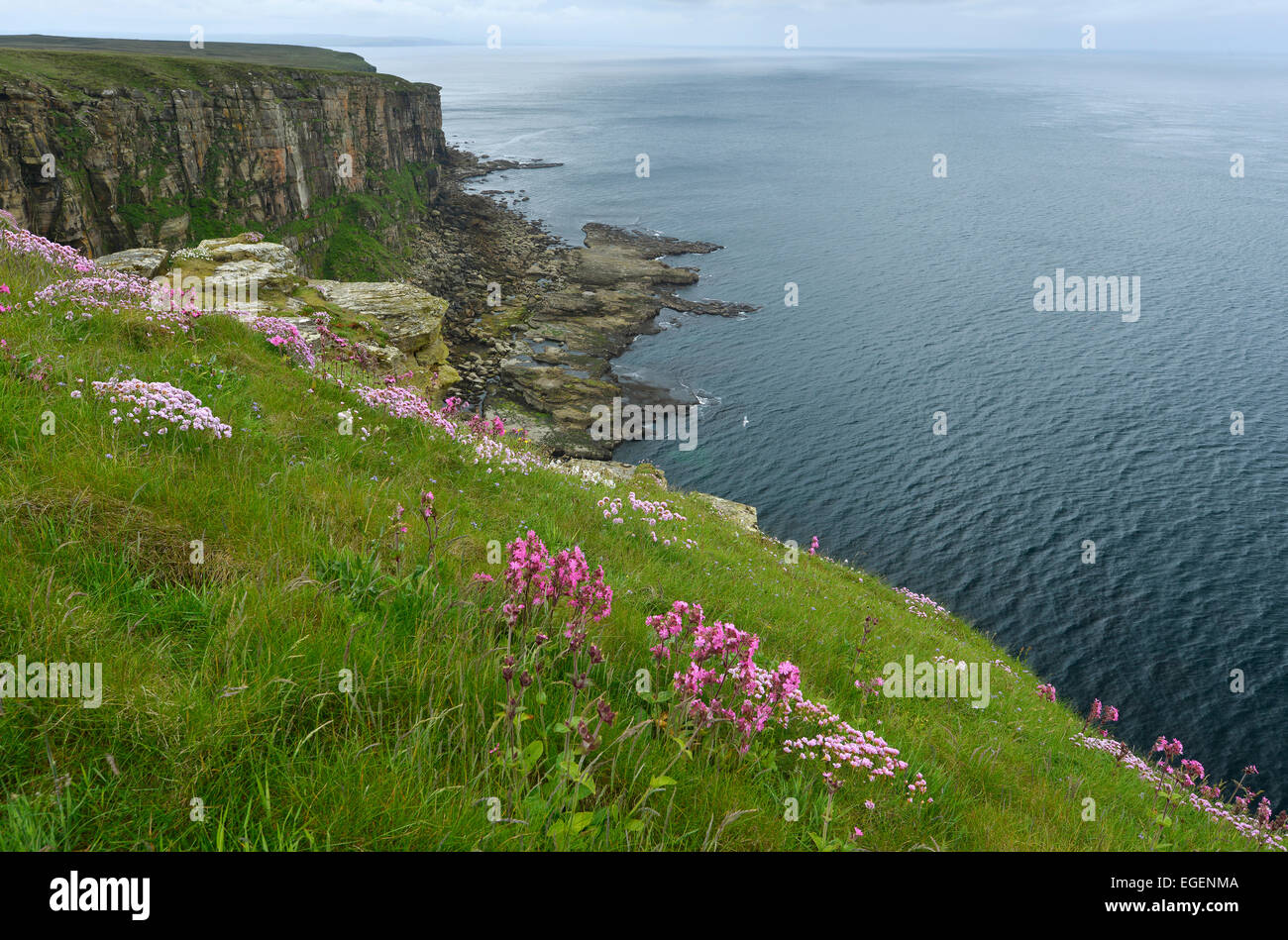 Dunnet Head, the most northerly point of the Scottish mainland ...