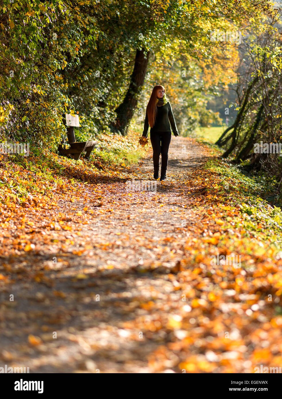 Woman walking in autumn forest Stock Photo - Alamy