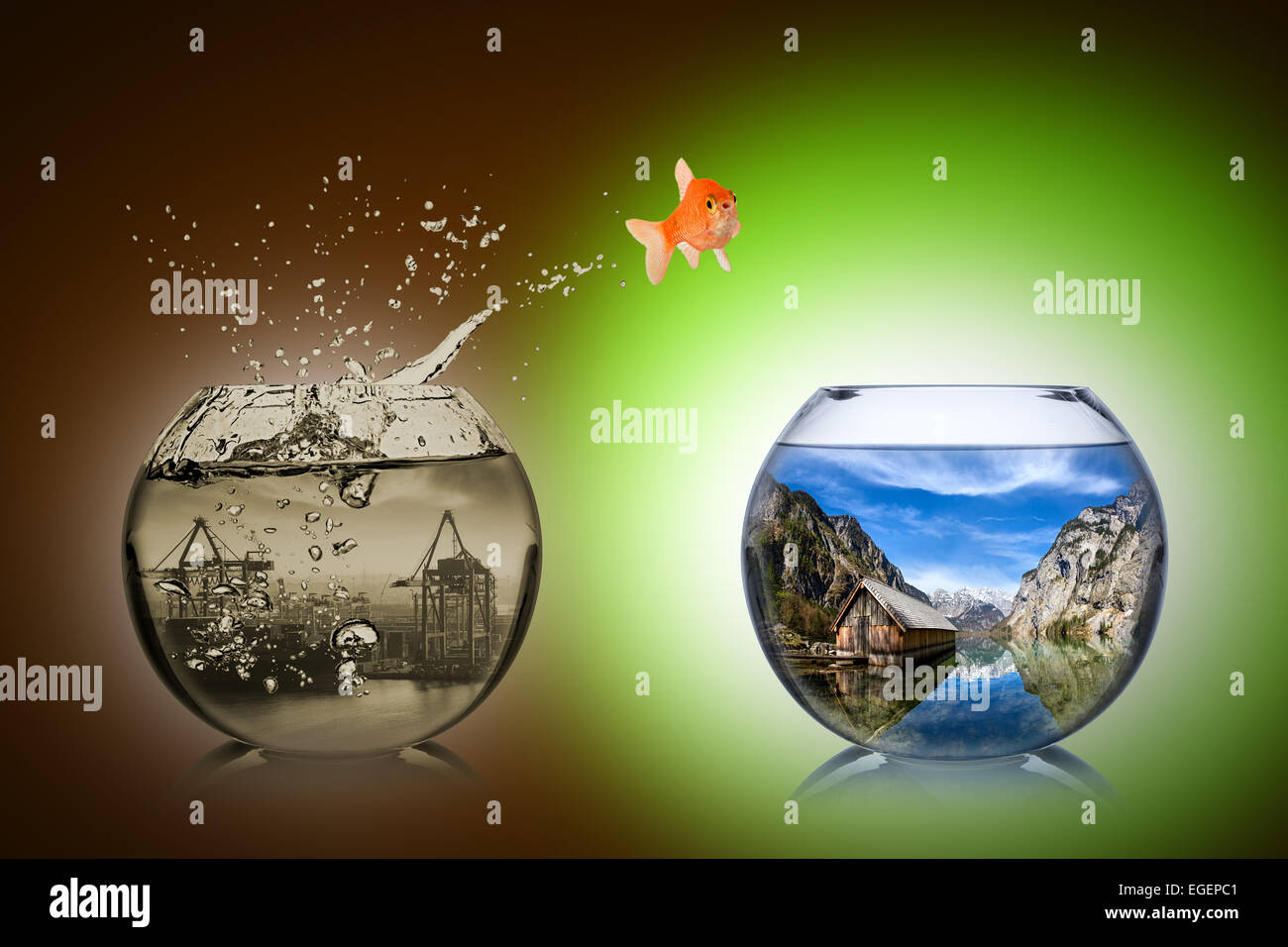 fish rethink and change concept Stock Photo - Alamy