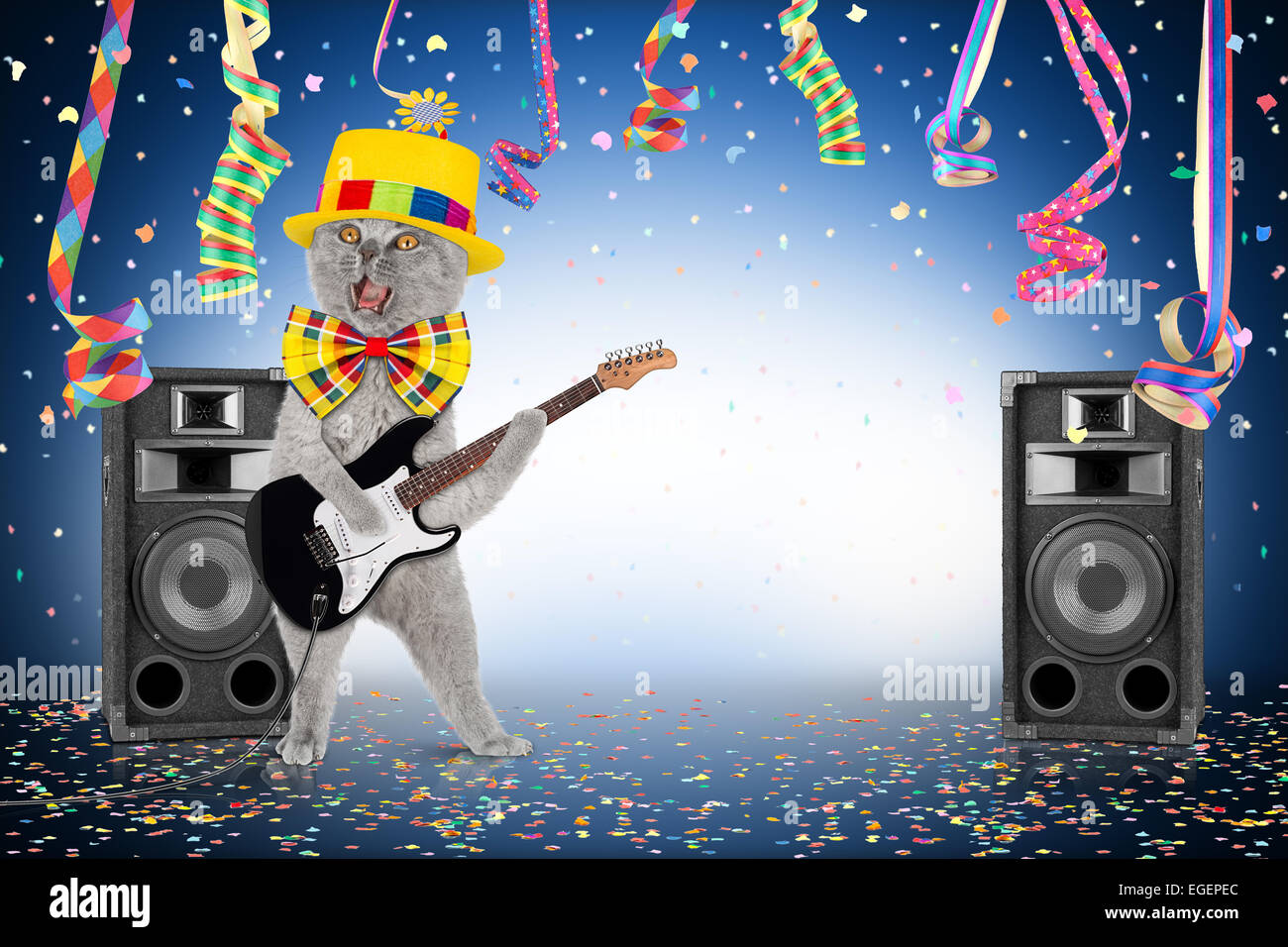 Cat with guitar in middle of confetti and streamer Stock Photo - Alamy