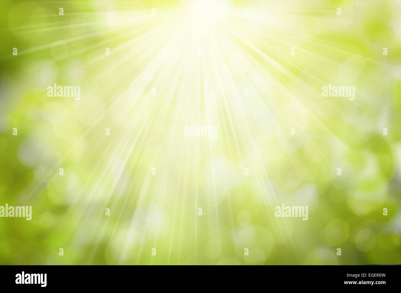 Sunny abstract green nature background, selective focus Stock Photo - Alamy