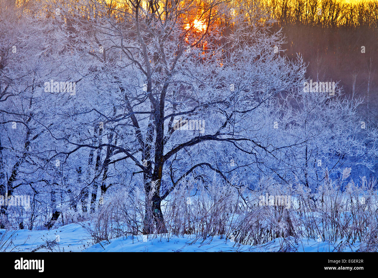 Rime japan hi-res stock photography and images - Alamy