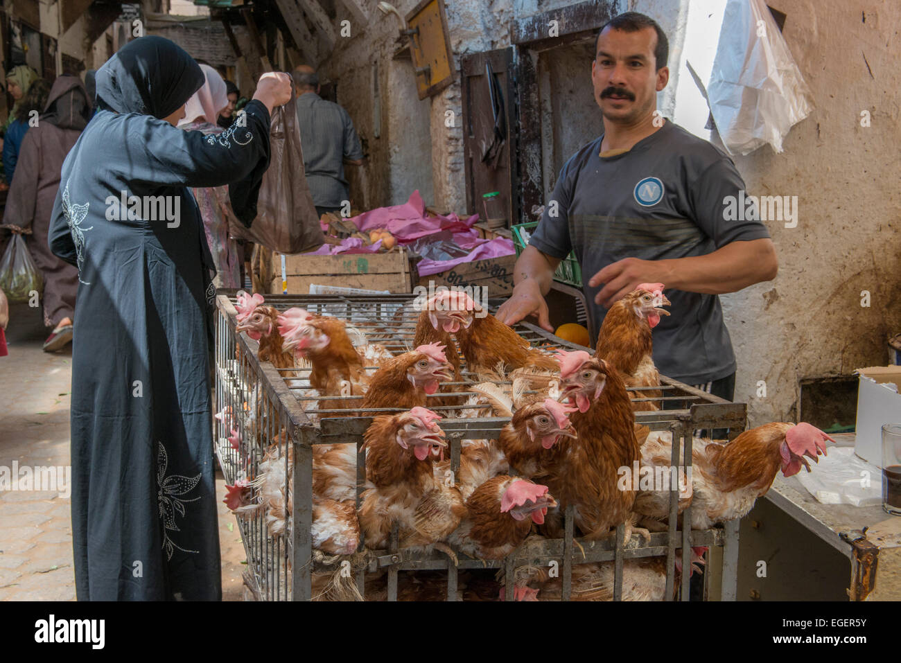 Fez Medina Chicken High Resolution Stock Photography and Images - Alamy