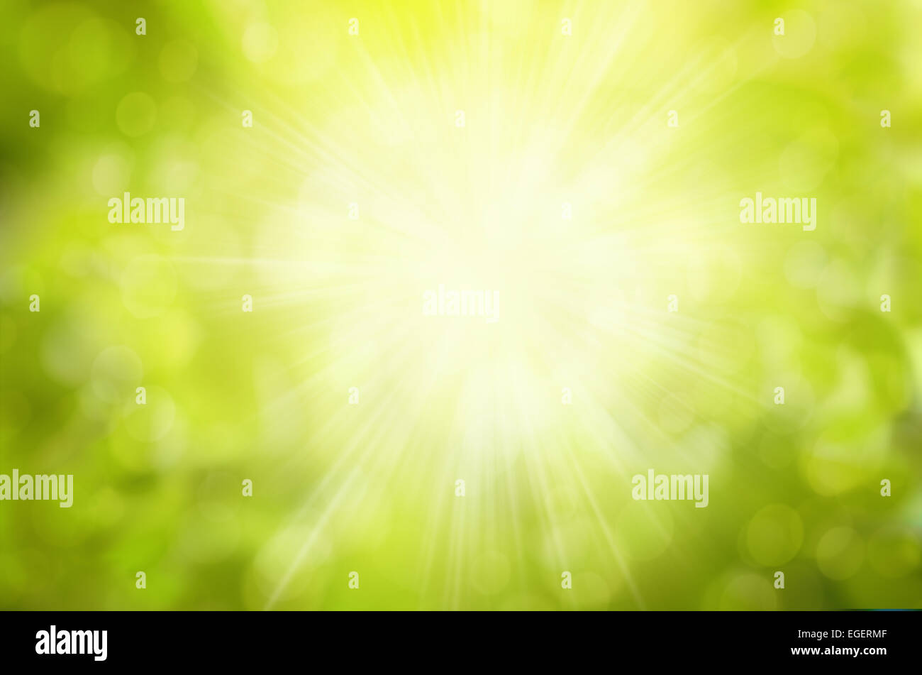 Sunny abstract green nature background, selective focus Stock Photo - Alamy