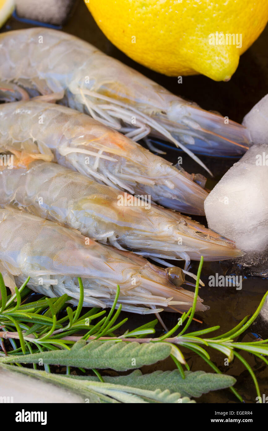 row of raw prawns Stock Photo - Alamy