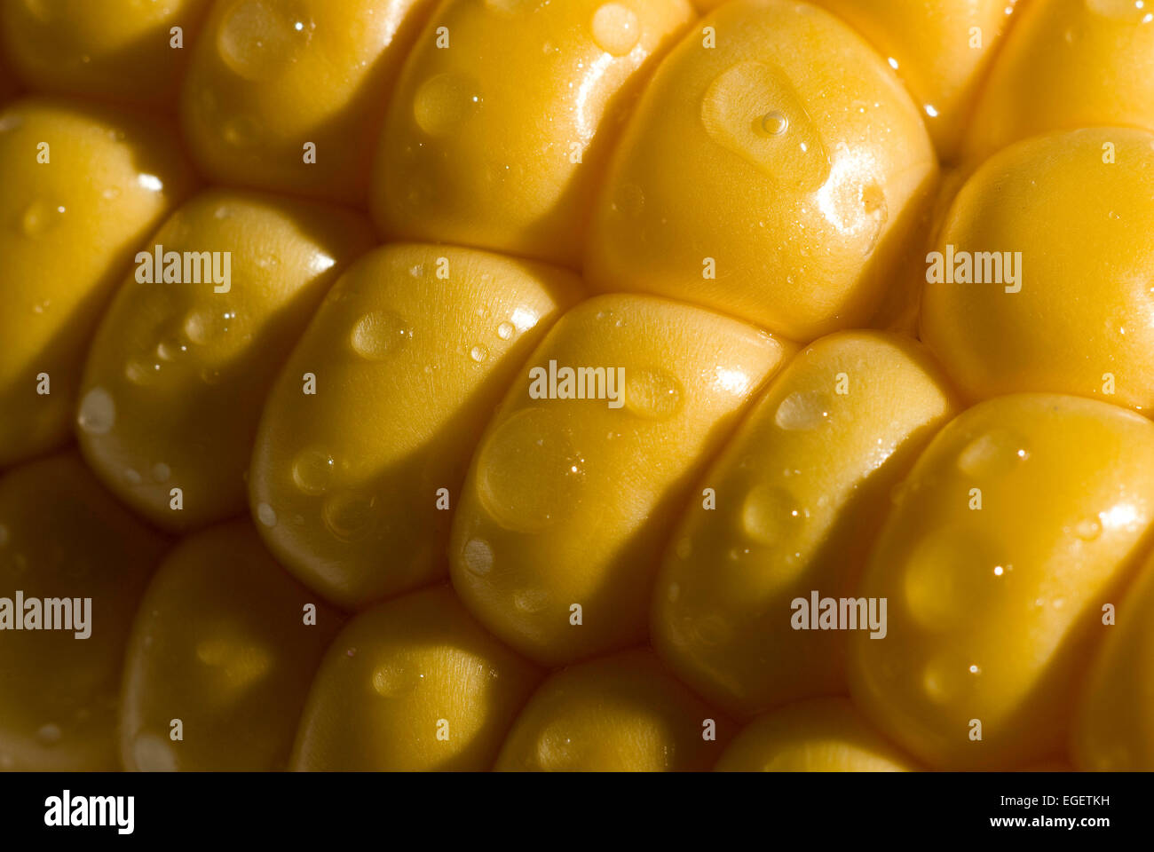 Yellow corn, water drops on it - close photo Stock Photo - Alamy