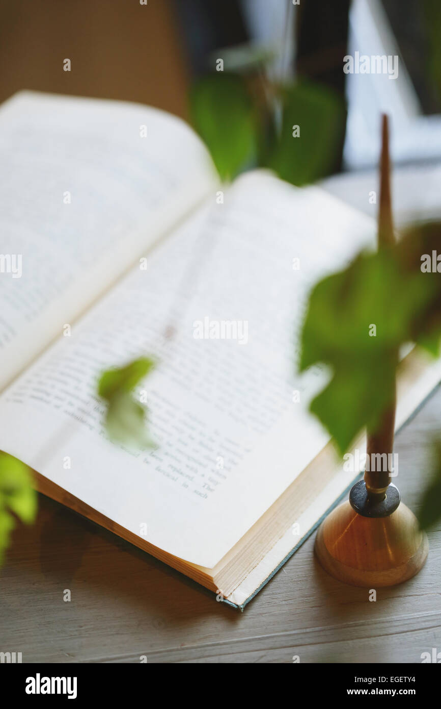 Book On A Table Stock Photo - Alamy