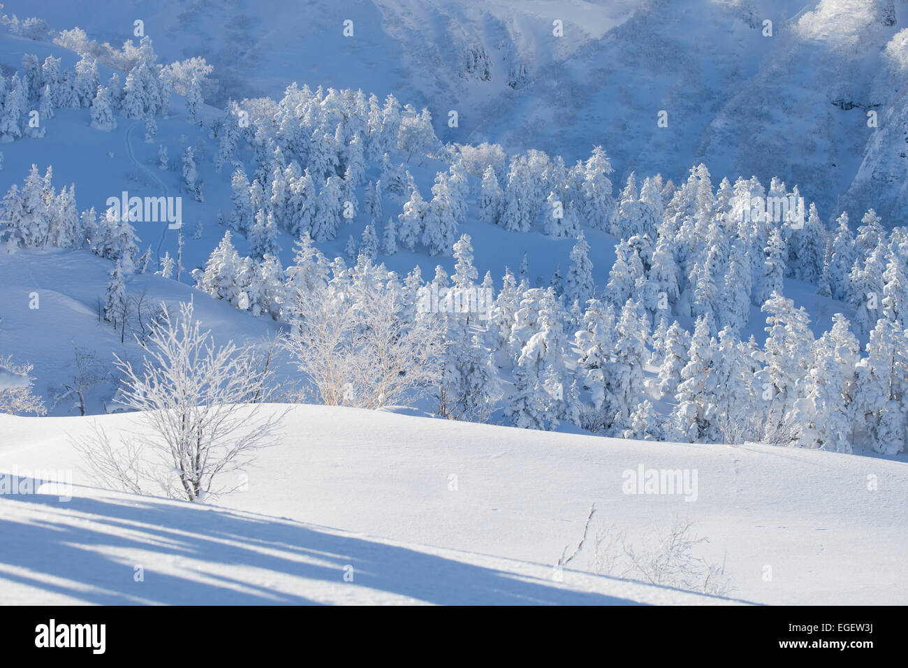 Tokachi japan hi-res stock photography and images - Alamy