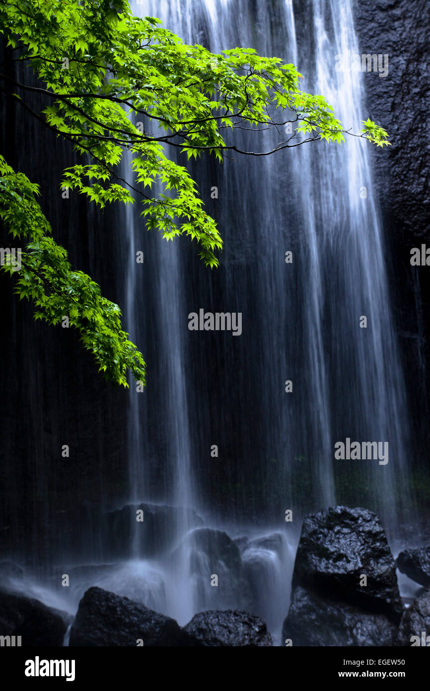 Tatsuzanfudou waterfall hi-res stock photography and images - Alamy