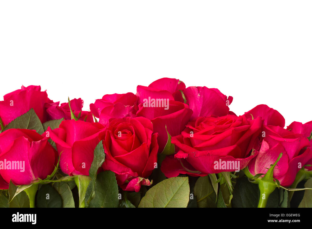bouquet of dark pink roses close up Stock Photo - Alamy
