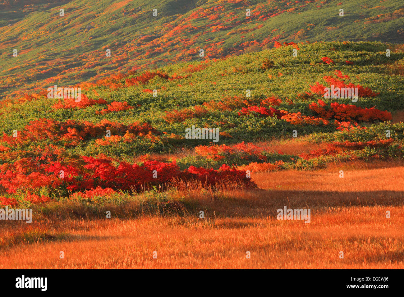 Yamagata Gassan High Resolution Stock Photography and Images - Alamy
