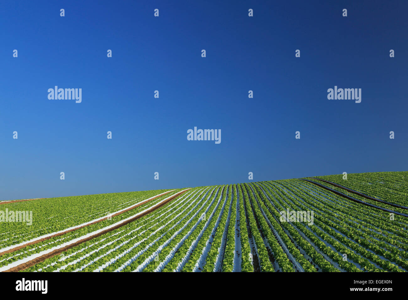 Iwate Prefecture, Japan Stock Photo - Alamy