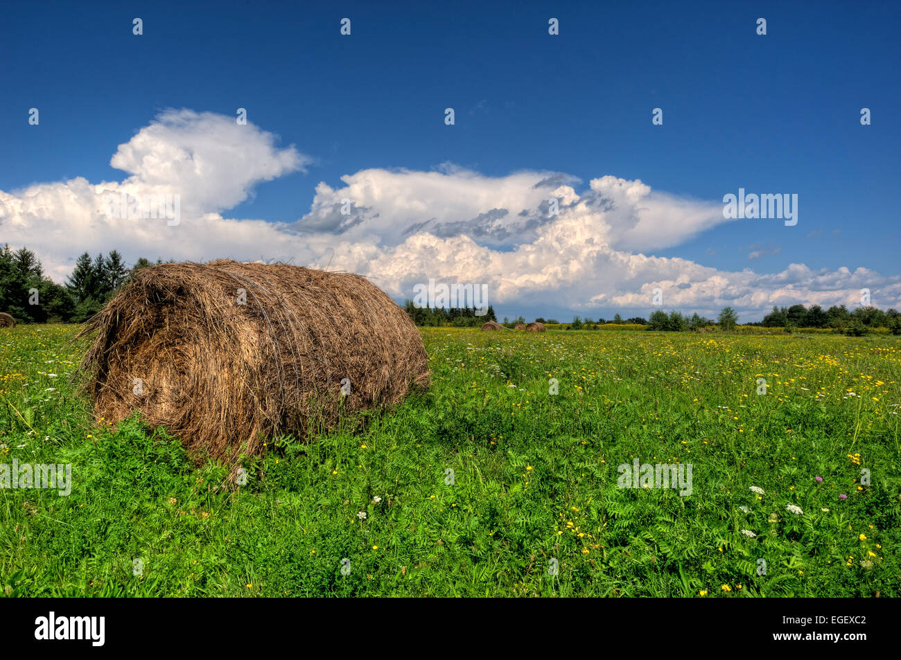 Haystack on the meadow under the blue sky Stock Photo - Alamy
