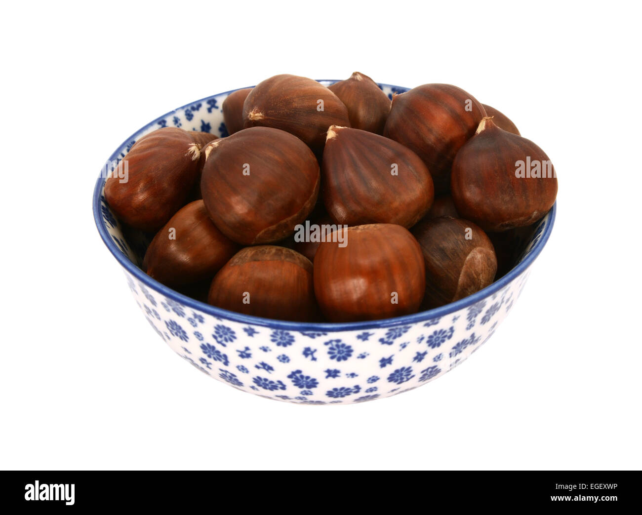 Sweet chestnuts in shells, in a blue and white porcelain bowl with a ...