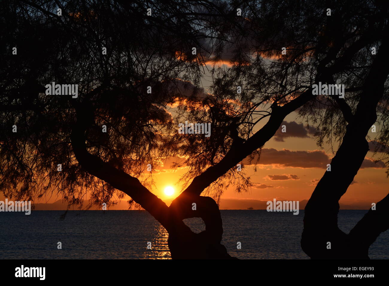 Beautiful sunset at the beach with nice tree Stock Photo - Alamy