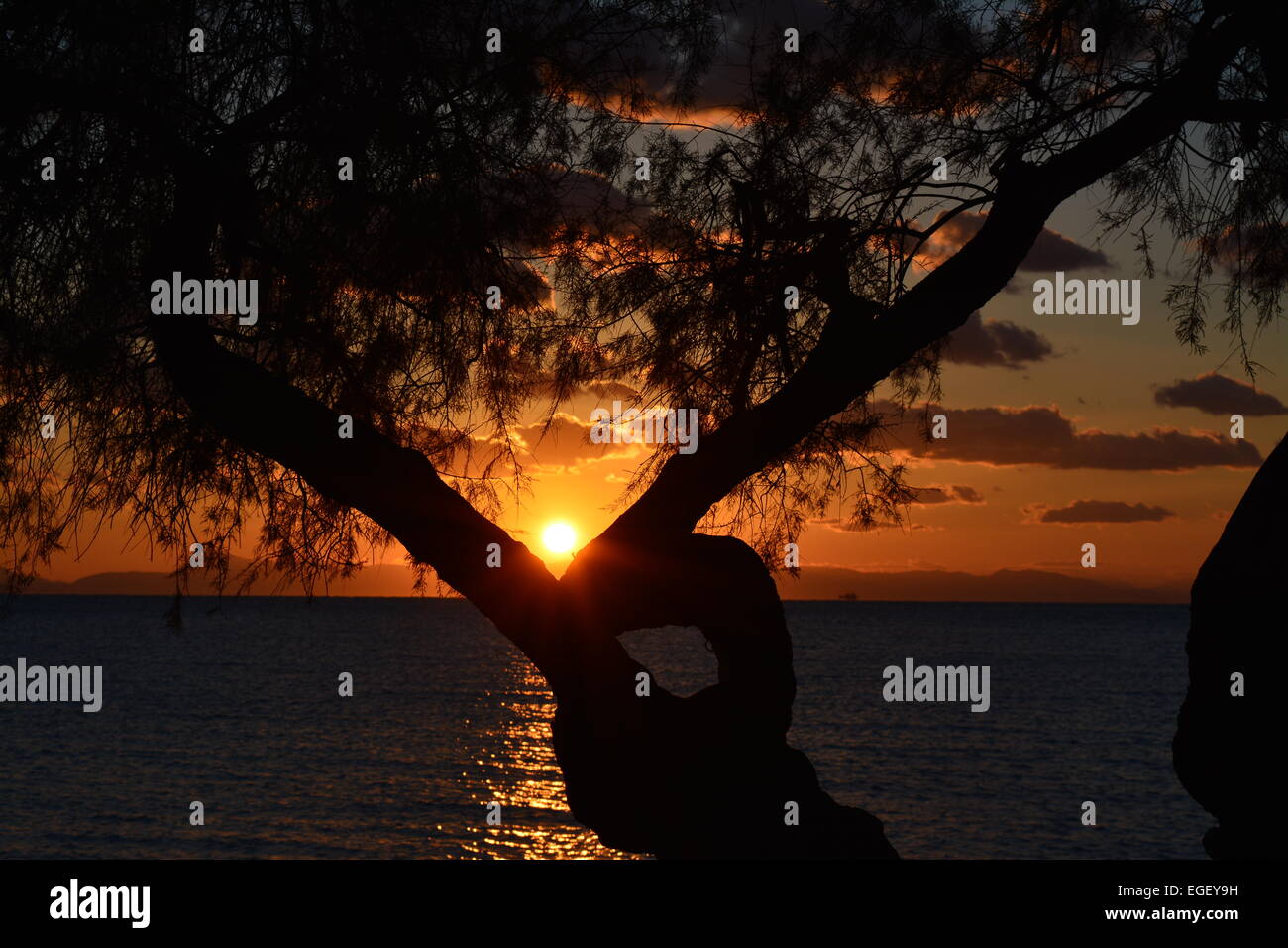 Beautiful sunset at the beach with nice tree Stock Photo - Alamy