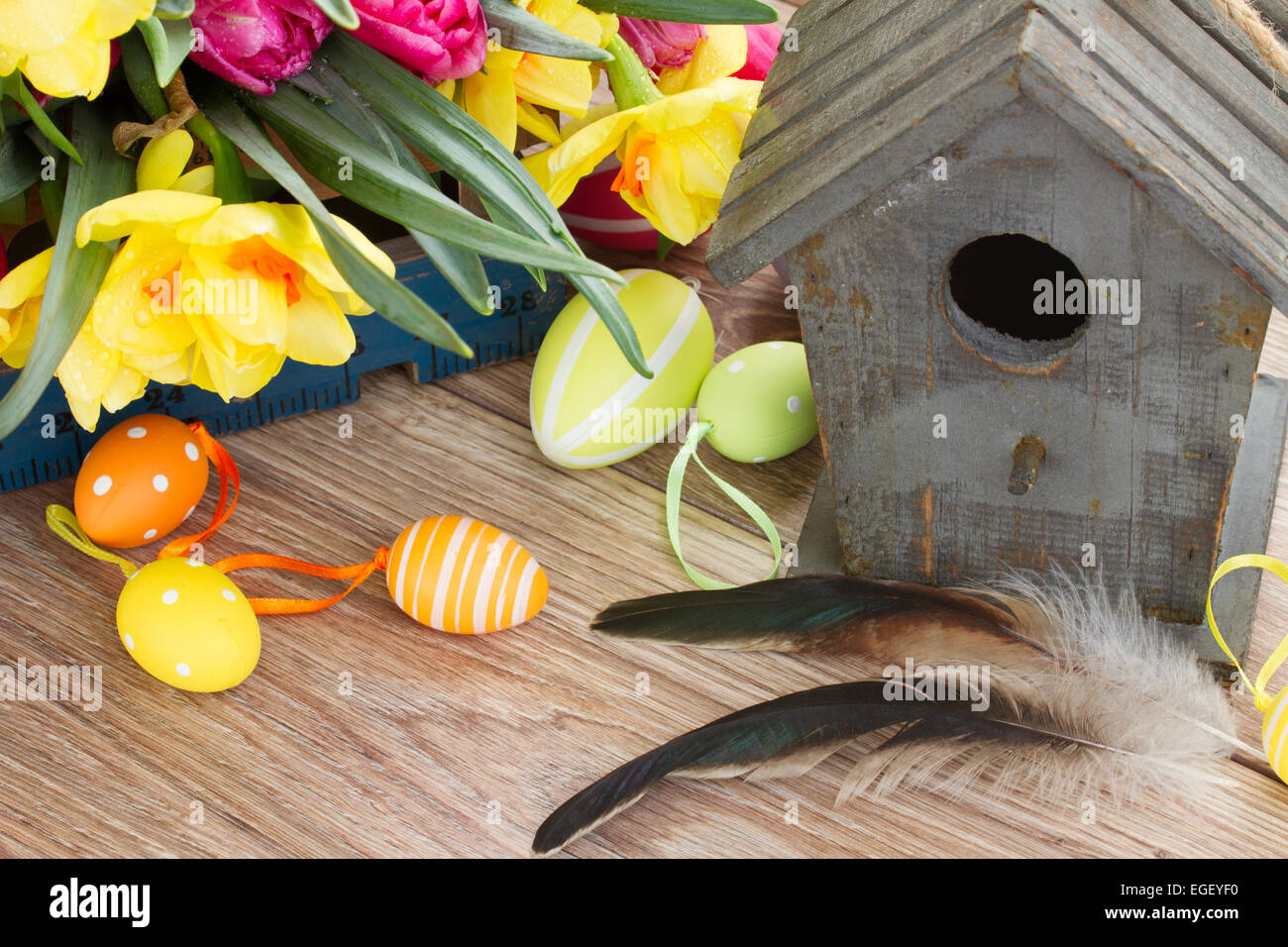 Feather tulip hi-res stock photography and images - Alamy
