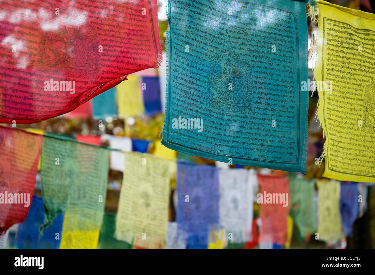 Colourful prayer flags at a buddhist temple Stock Photo - Alamy