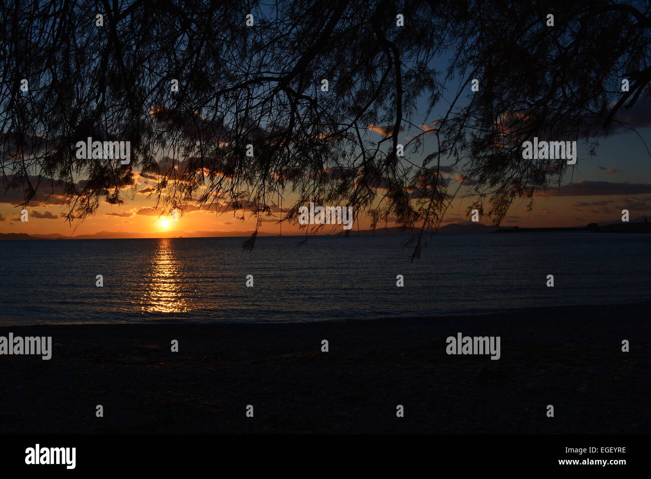 Beautiful sunset at the beach with nice tree Stock Photo - Alamy