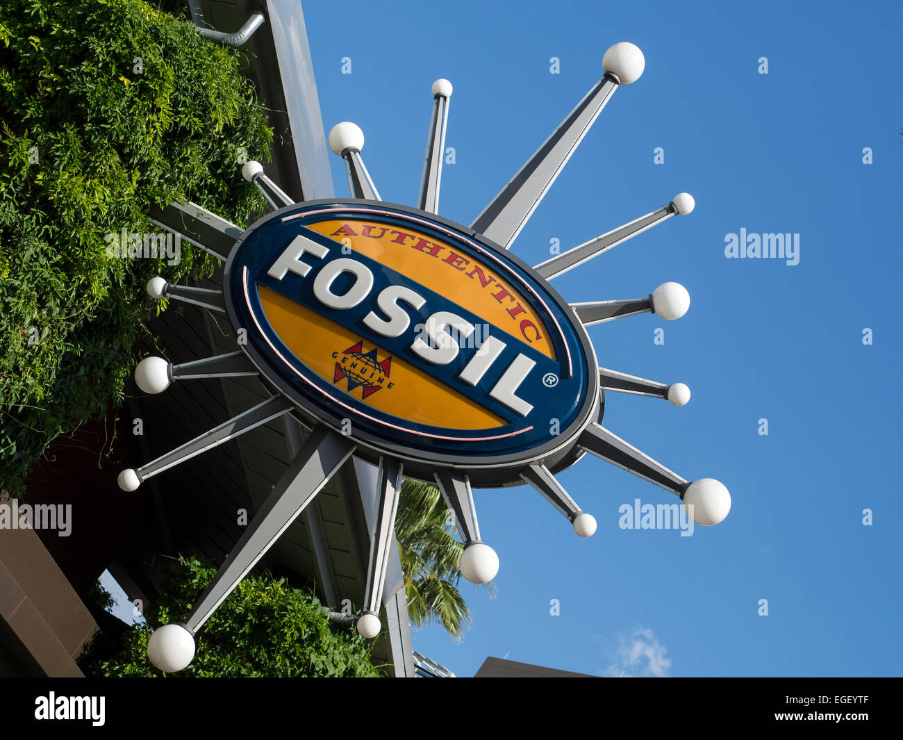 Fossil Shop High Resolution Stock Photography and Images - Alamy