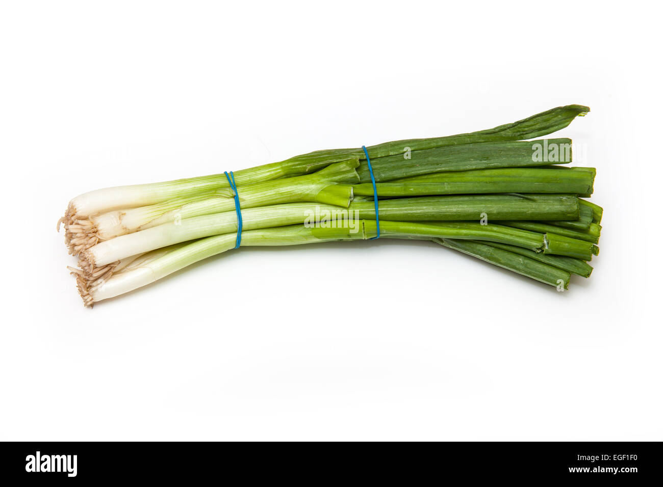 Bunch of Spring onions isolated on a white studio background Stock ...