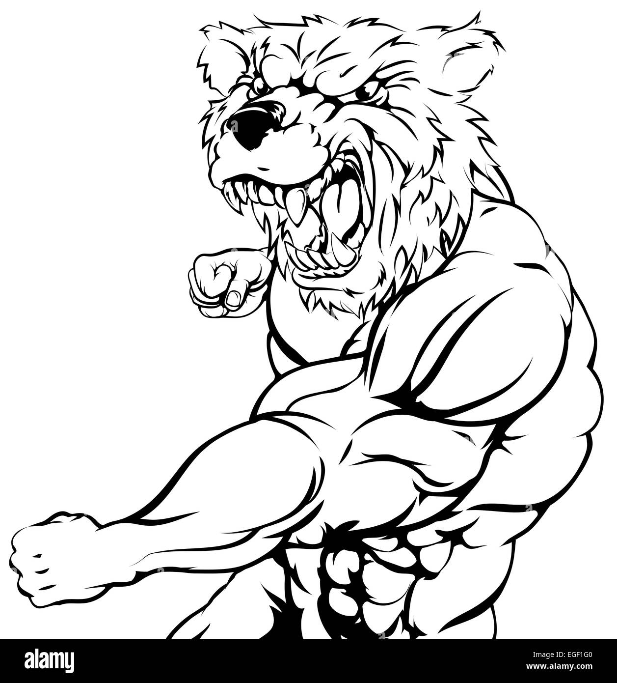 A tough muscular bear character sports mascot attacking with a punch ...