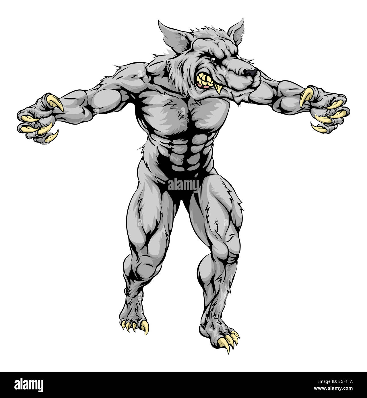 An illustration of a Werewolf wolf scary sports mascot with claws out ...