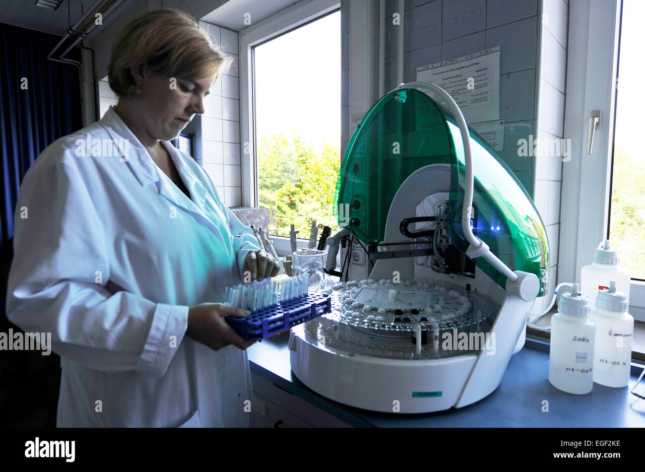 Modern technology in appliances and a conveyor belt enables the Hygiene ...