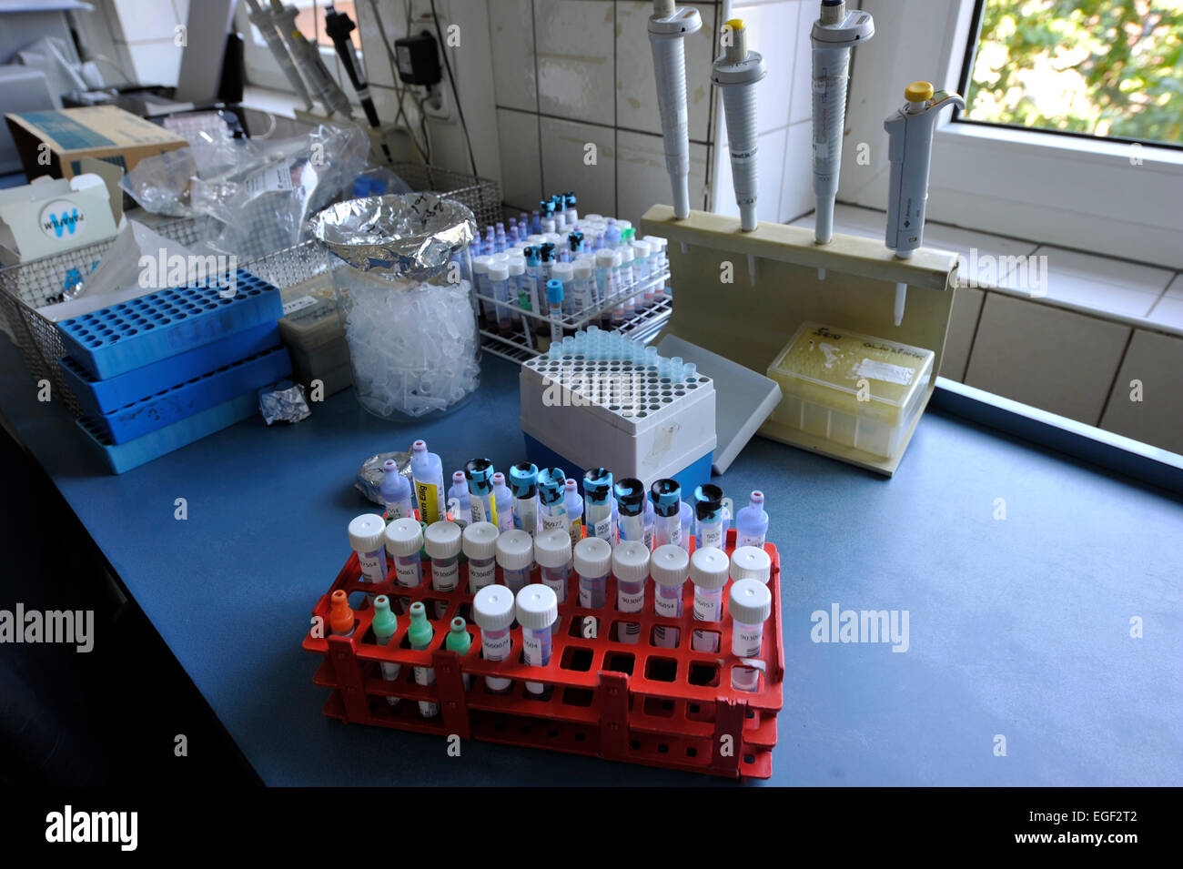 Modern technology in appliances and a conveyor belt enables the Hygiene ...