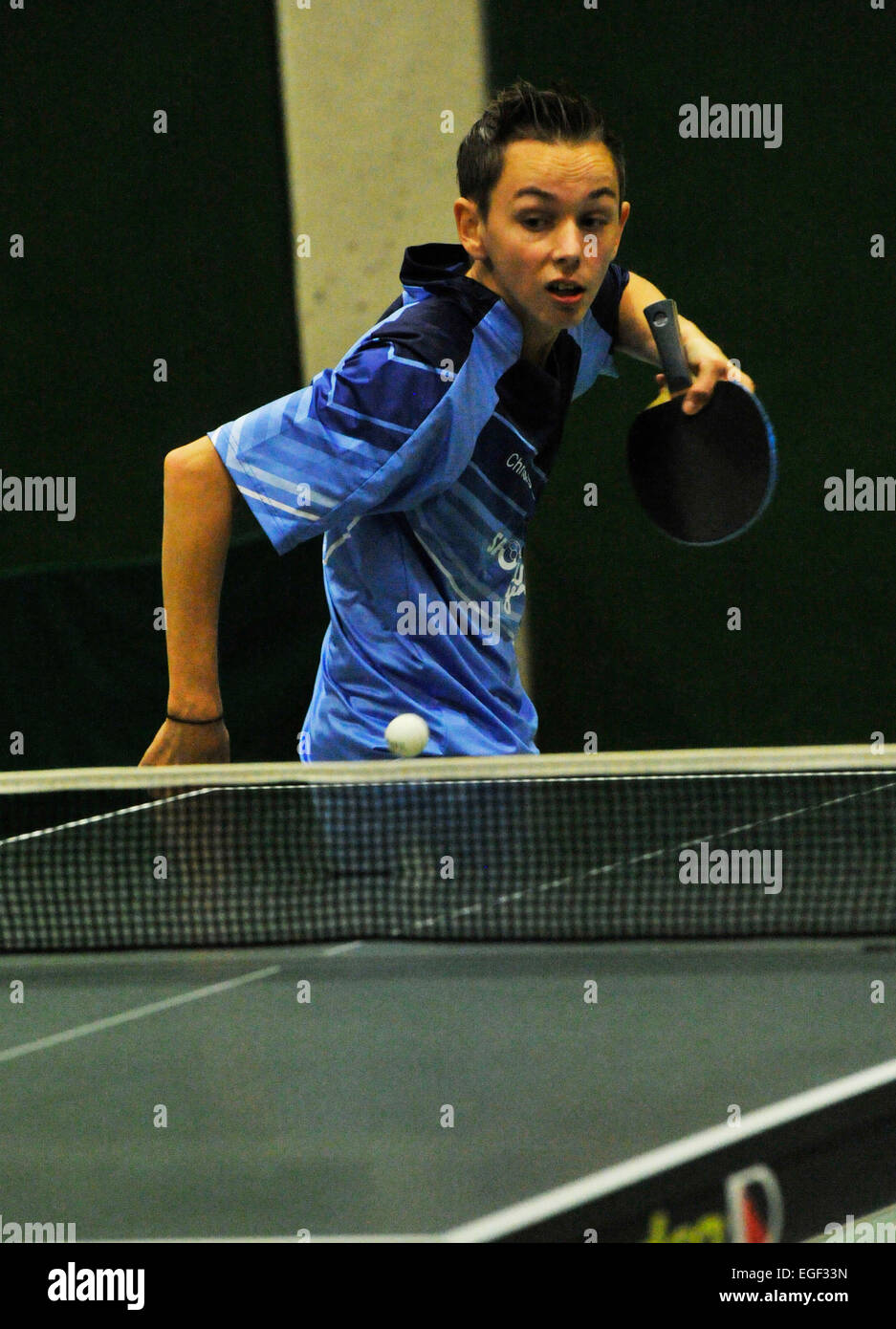 Which is hard work and dedication in the TT-Sport also wrestled in the ...