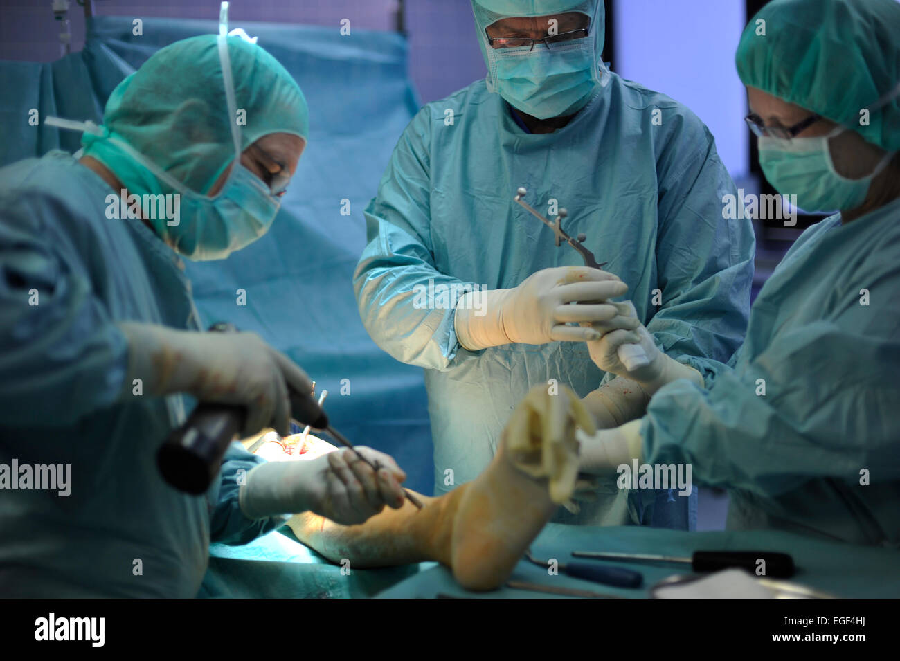 Medical skills craftsmanship high level hi-res stock photography and ...