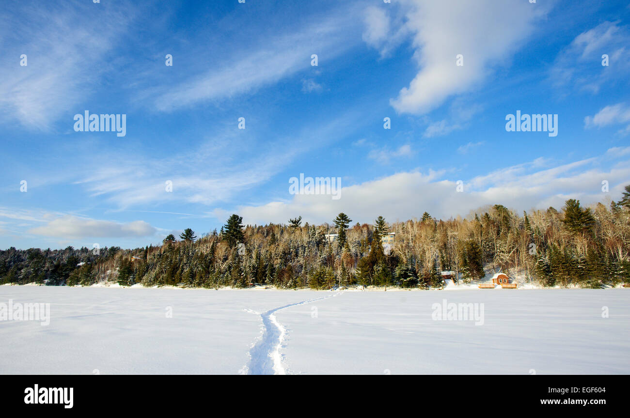 Snowshoe tracks hi-res stock photography and images - Alamy