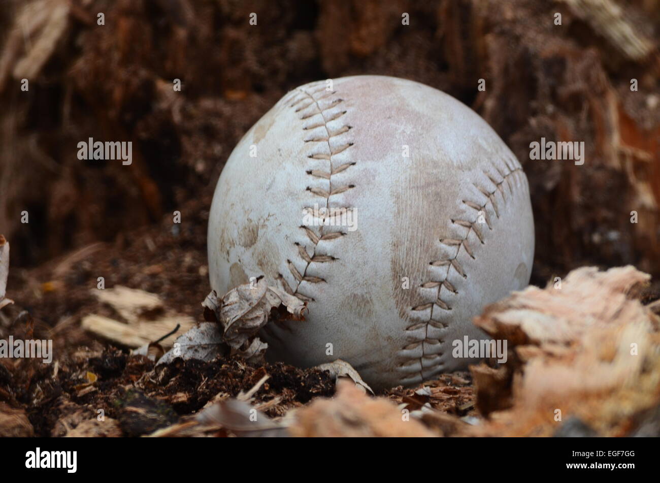 Softball stitches hi-res stock photography and images - Alamy