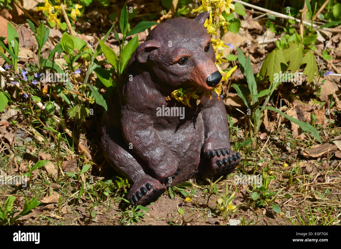 The bear garden hi-res stock photography and images - Alamy