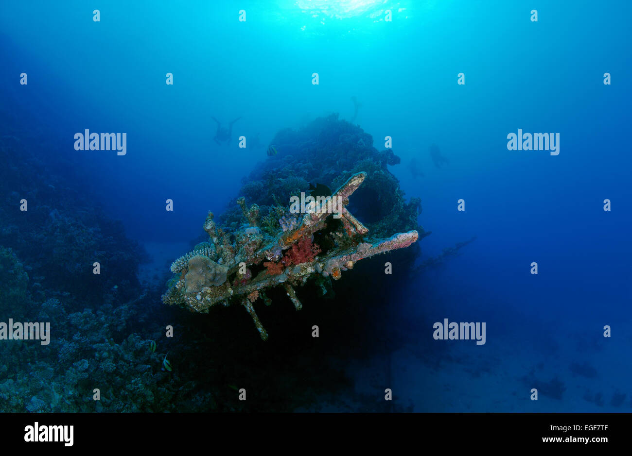 The carnatic ship wreck red sea egypt hi-res stock photography and ...