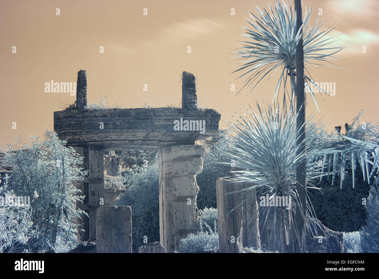 ancient stone ruins in tropical environment Stock Photo - Alamy