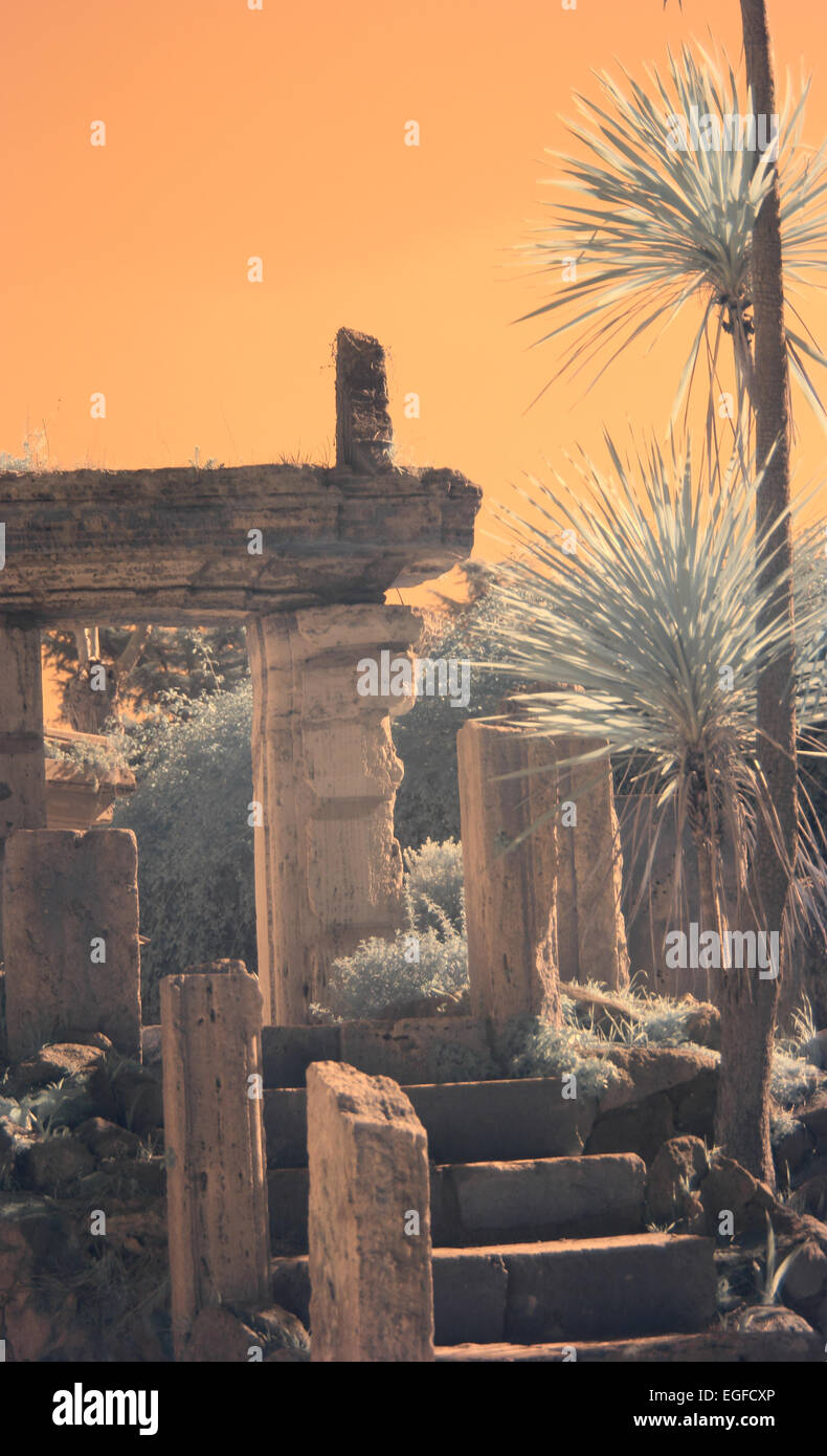 ancient stone ruins in tropical environment Stock Photo - Alamy