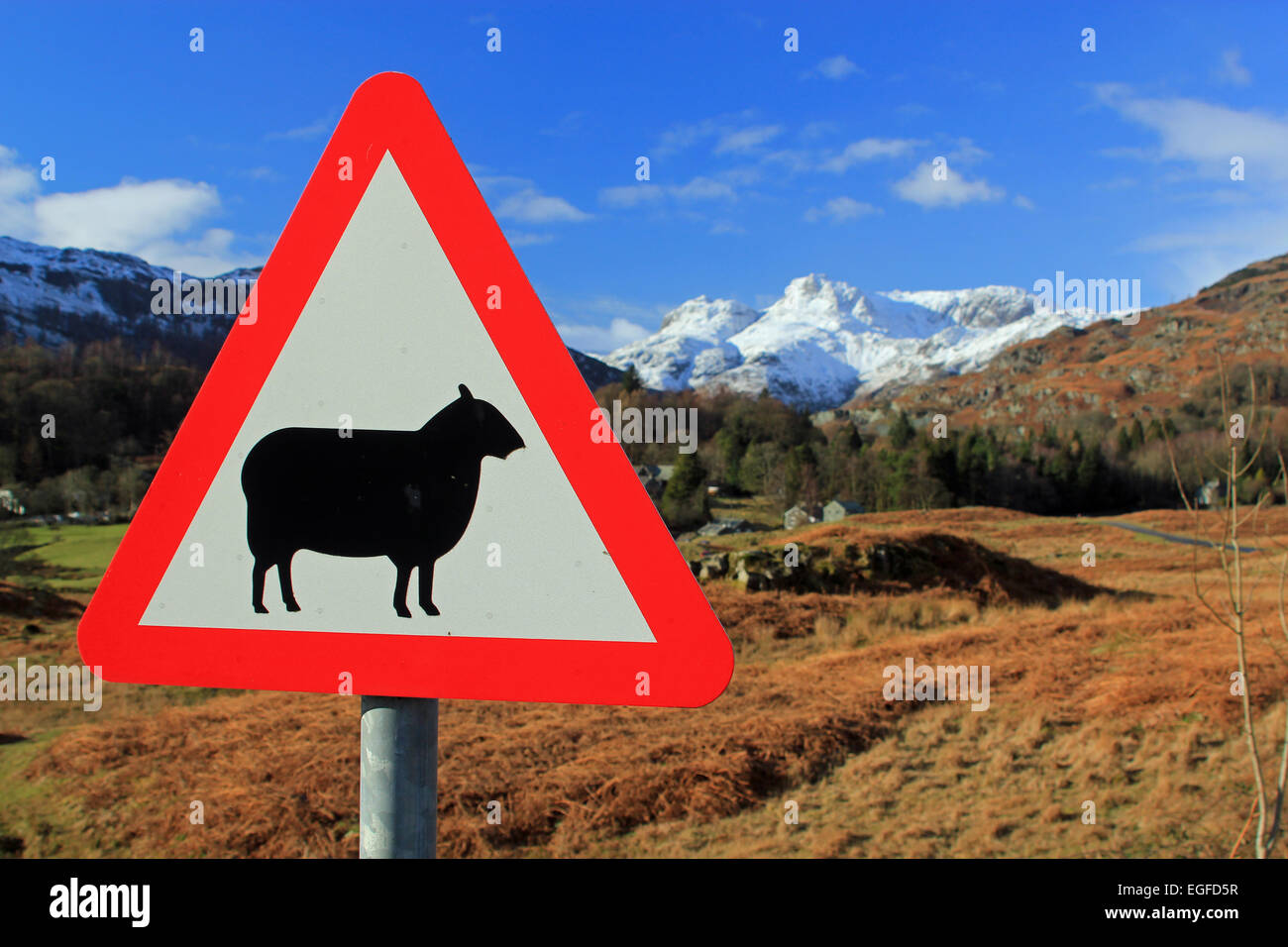 Road sign for sheep with a backdrop of red and green countryside with ...