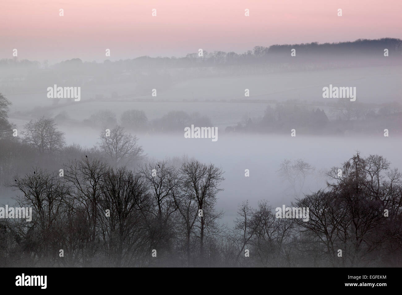 Winter landscape in dawn frost and fog, Stow-on-the-Wold, Cotswolds ...