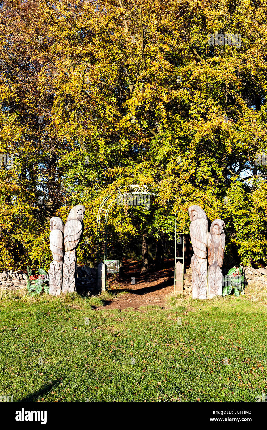 The entrance to the "Enchanted Wood" at Adderstone field in Dalby ...