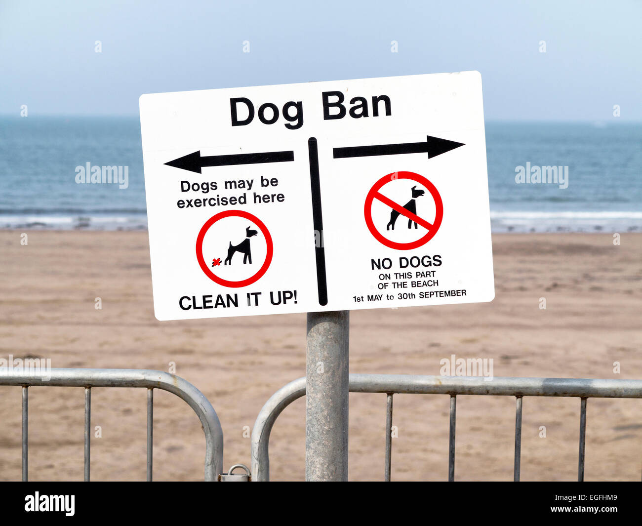 A sign banning dogs on Whitby beach Stock Photo - Alamy