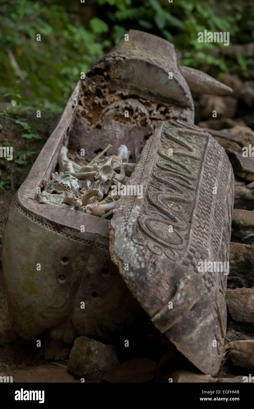 Indigenous sarcophagus filled with human bones at a traditional burial ...