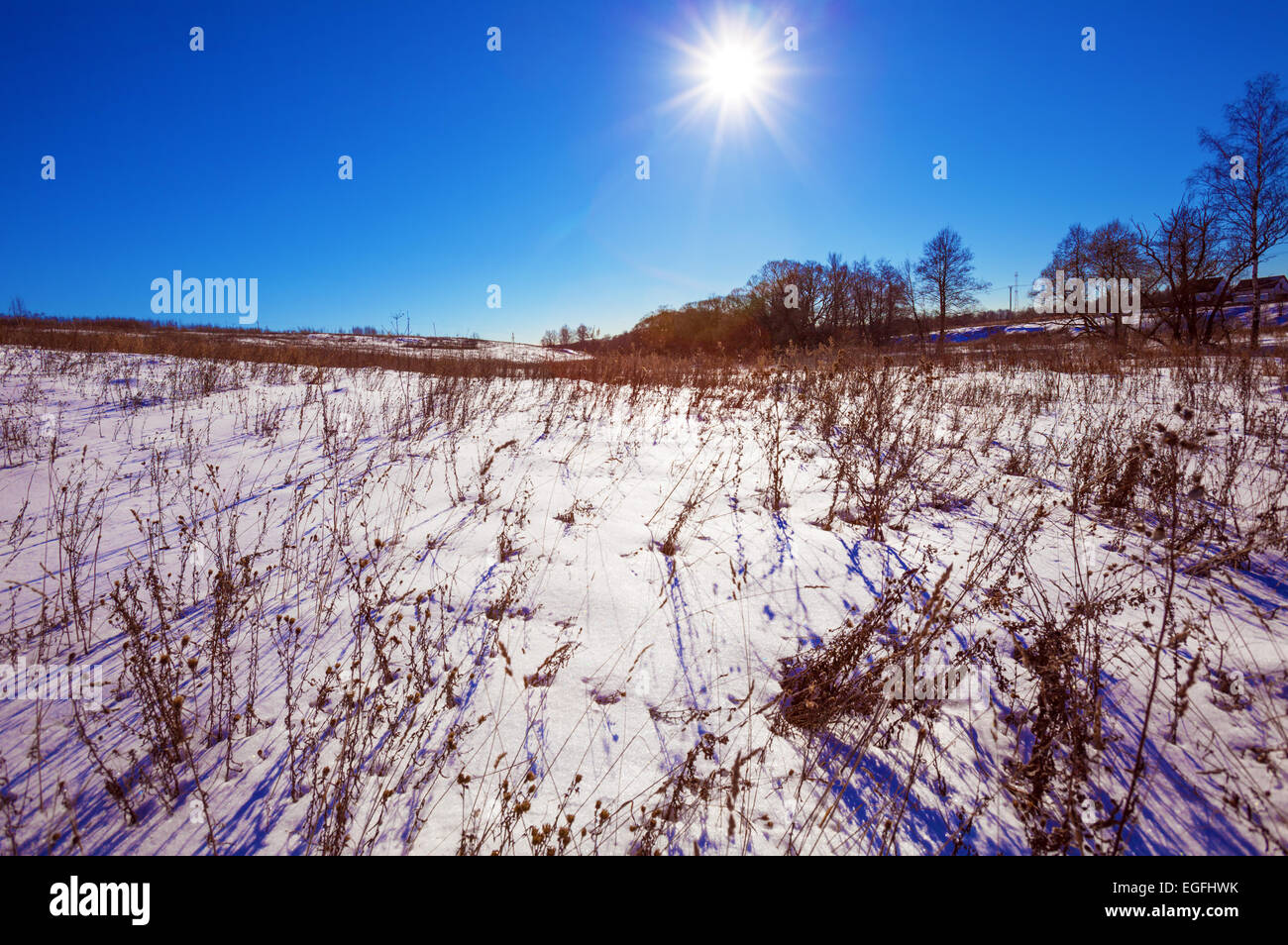 Dry Grass with Snowy Background Nature Landscape Stock Photo - Alamy
