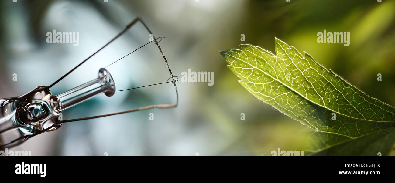 Technology vs. nature Stock Photo - Alamy