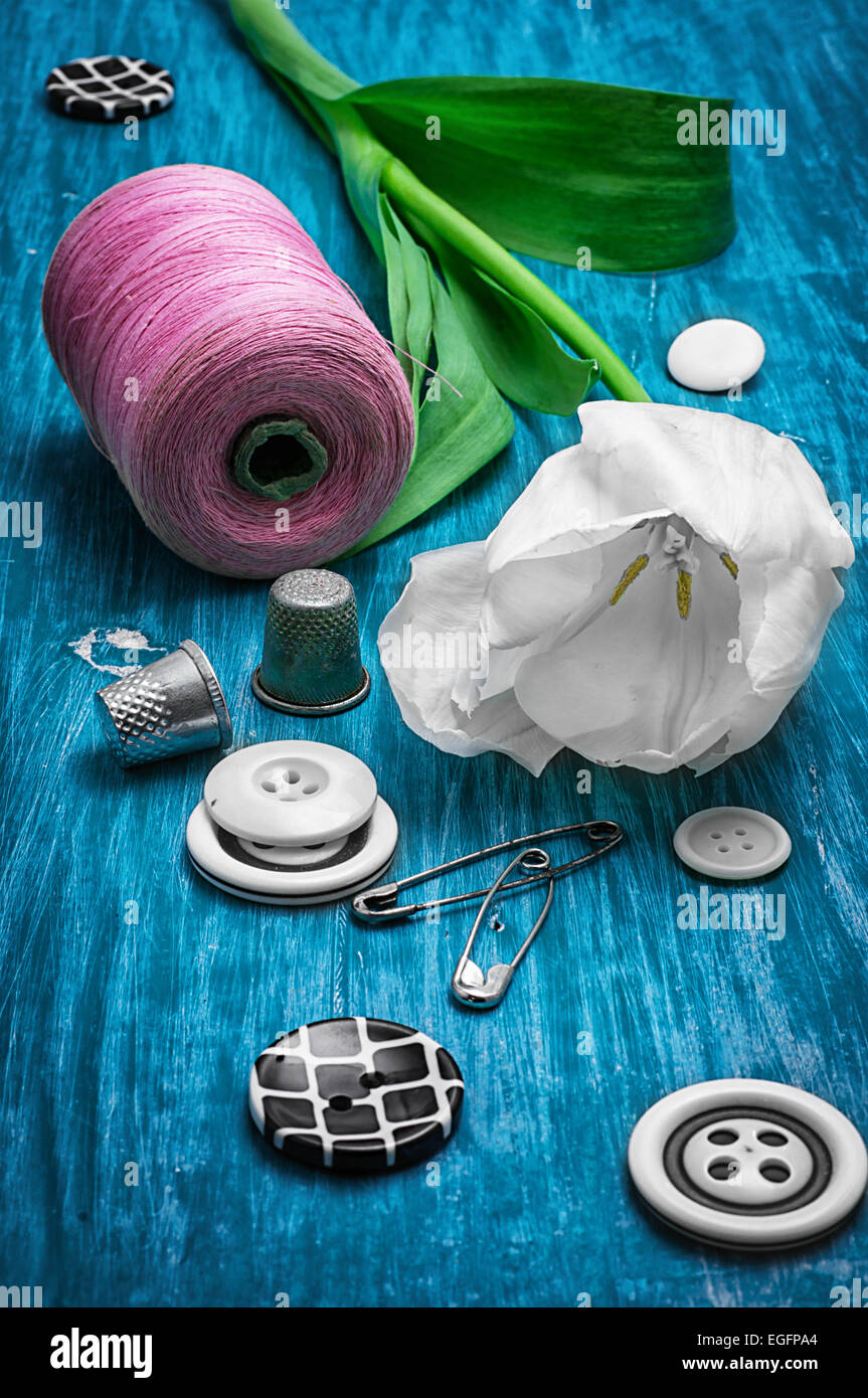 one white tulip and buttons with threads on turquoise wooden background ...