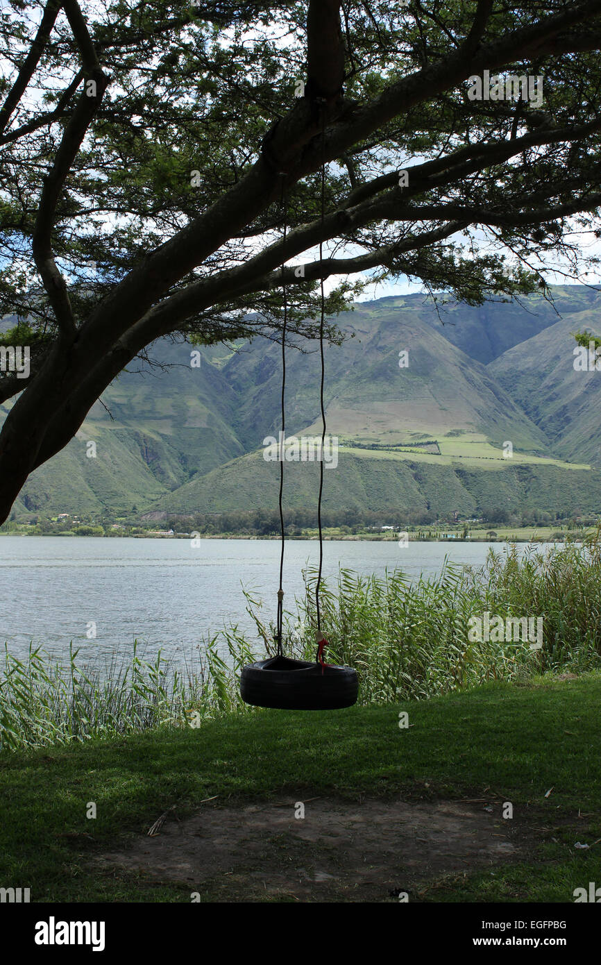 Tire swing tree hi-res stock photography and images - Alamy