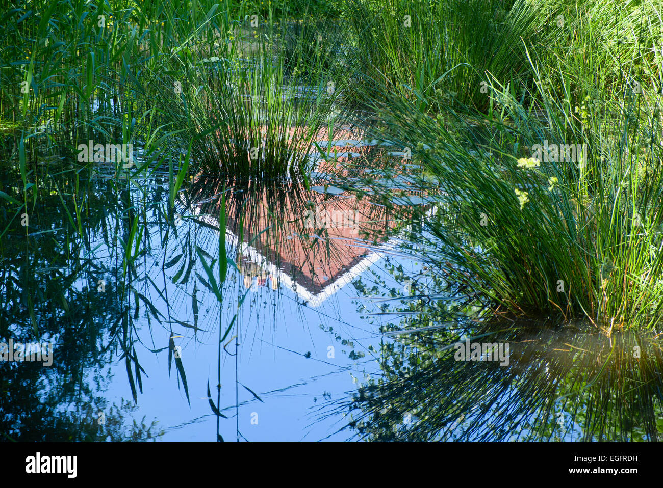 Reflection of Red Brick Cottage in Garden Pond Stock Photo - Alamy